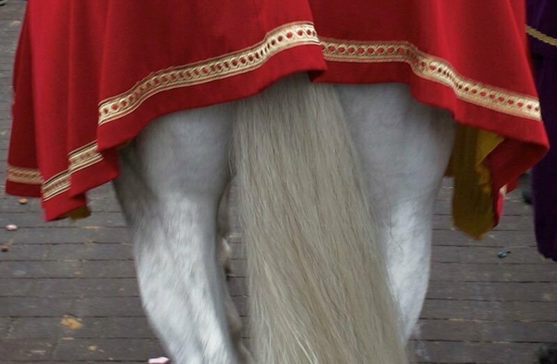 Parkeren - Het Fort van Sinterklaas